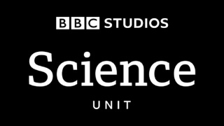 50/50 Pledge - We Are Doc Women